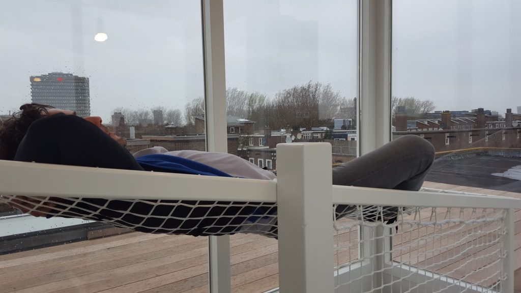 Portfolio – Lounge-net